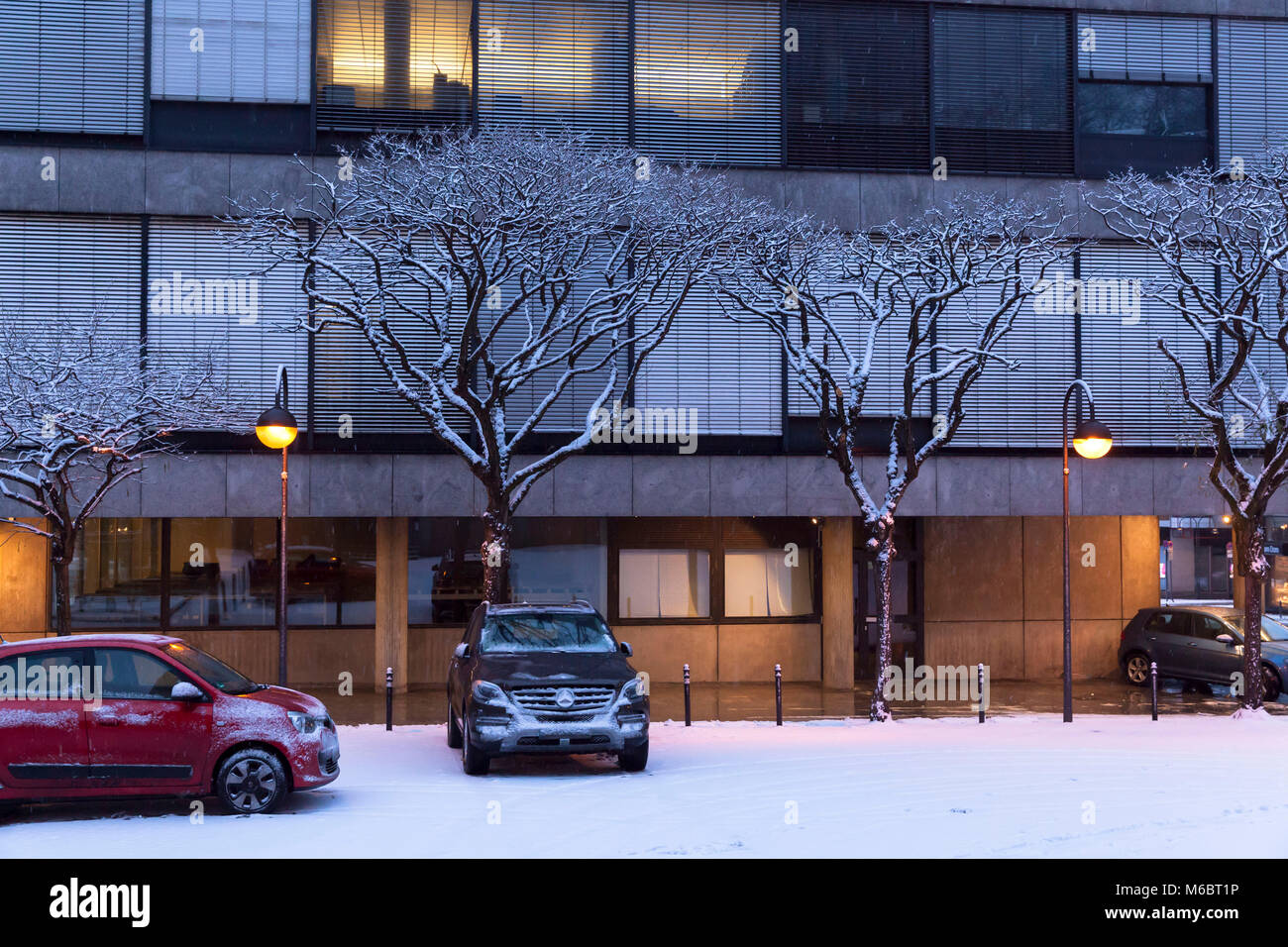 Facades and trees hi-res stock photography and images - Alamy