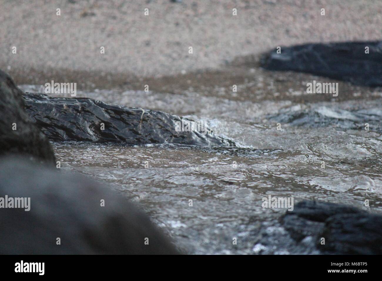 Fluidity hi-res stock photography and images - Alamy