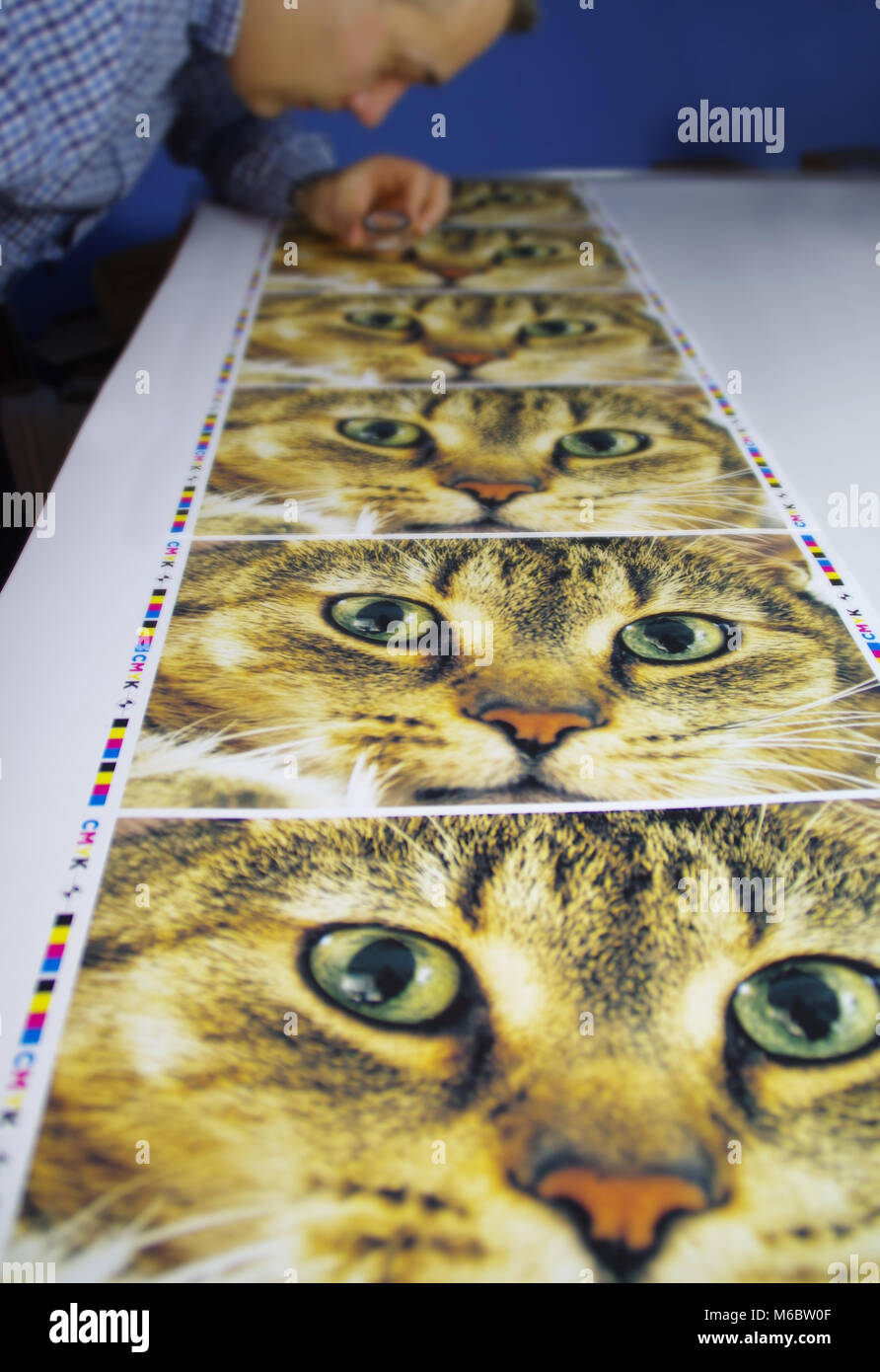 Printer looking at test cmyk registers on printout using magnifier ...