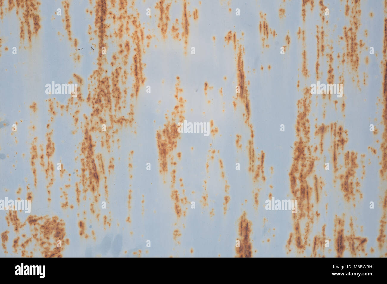 Corroded white metal background. Rusted white painted metal wall. Rusty ...