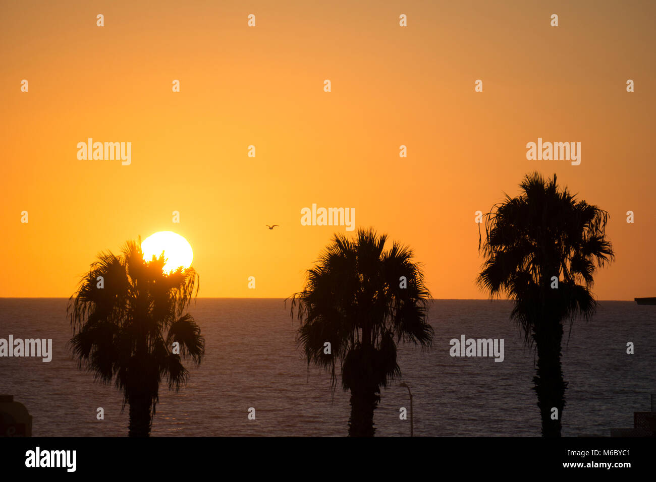 Pacific Beach sunset Stock Photo - Alamy