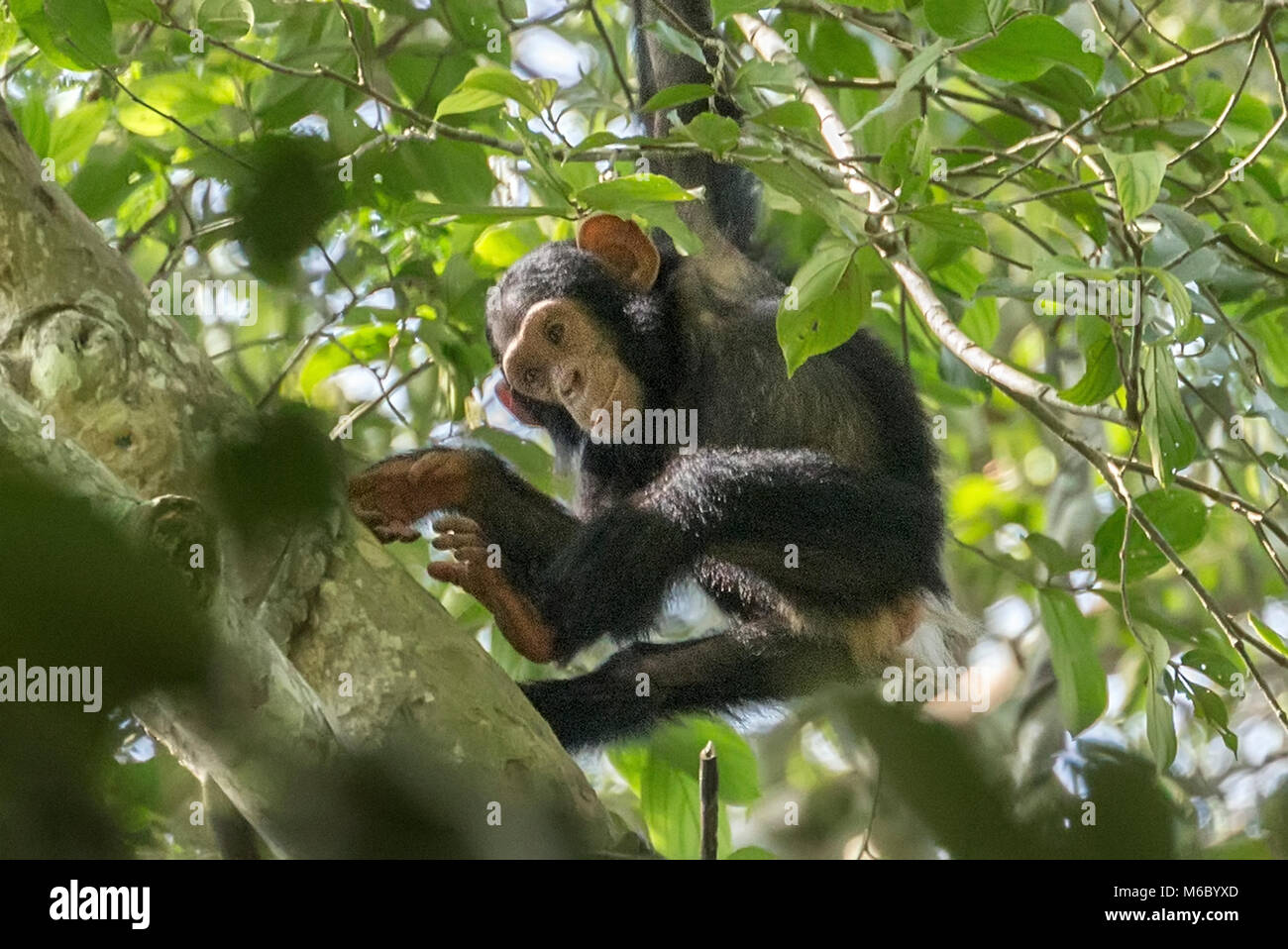 Kimbale national park hi-res stock photography and images - Alamy