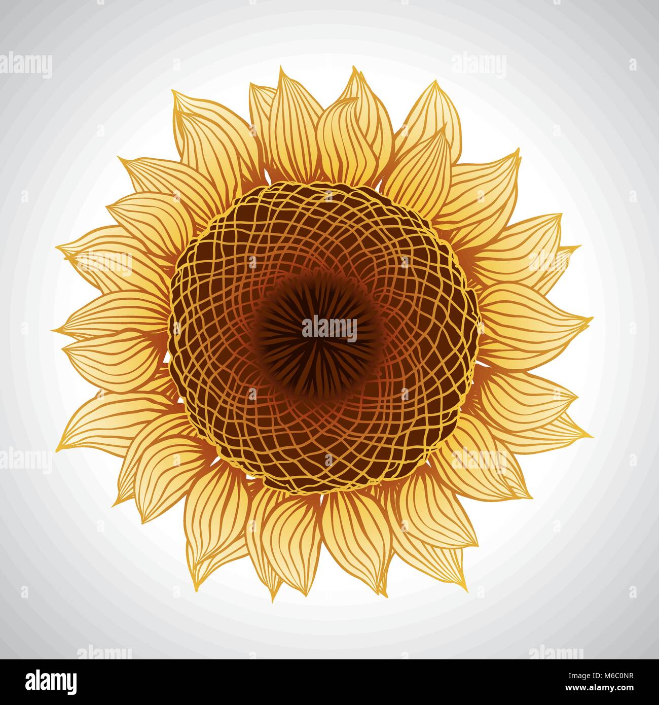 Vector illustration of sunflower. Flower element for design Stock ...