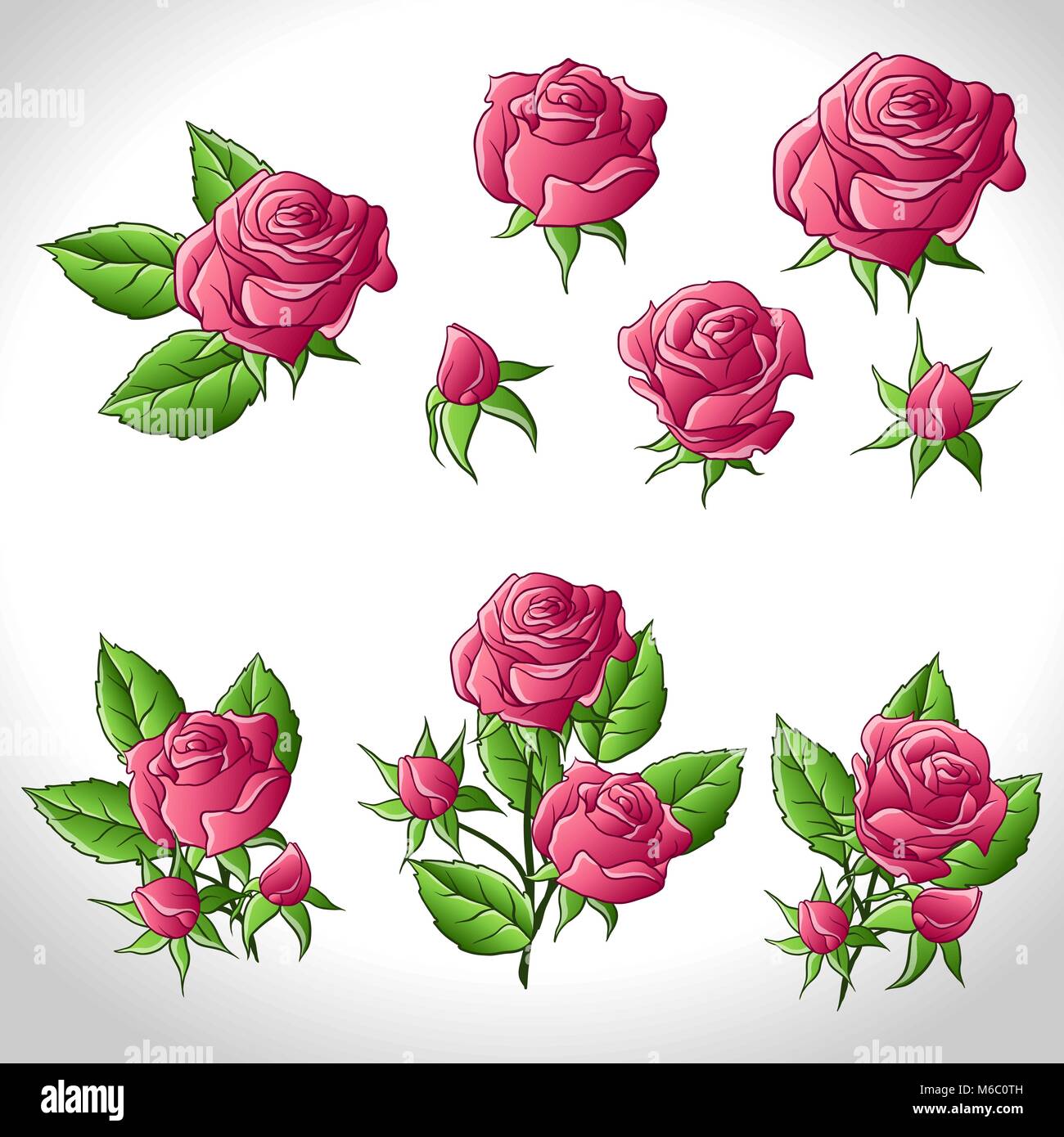 Big pink bloom Stock Vector Images - Alamy