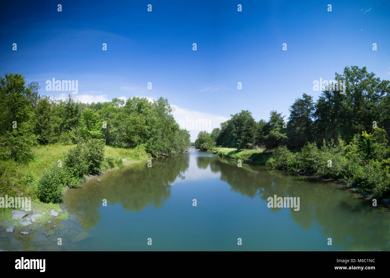Beautiful park landscape sunny summer hi-res stock photography and ...