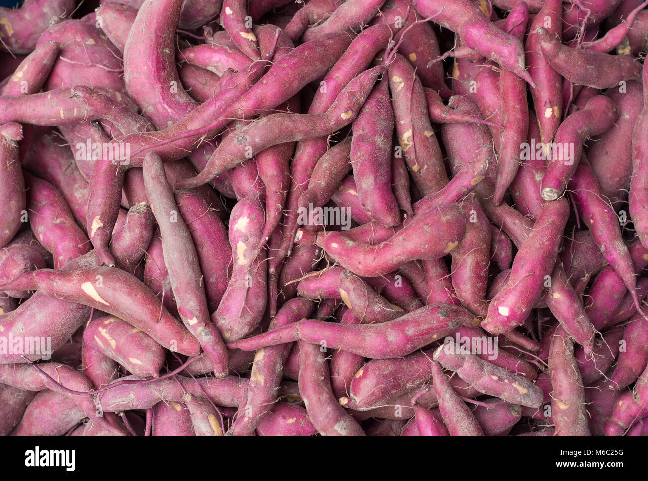 sweet potato background Stock Photo - Alamy