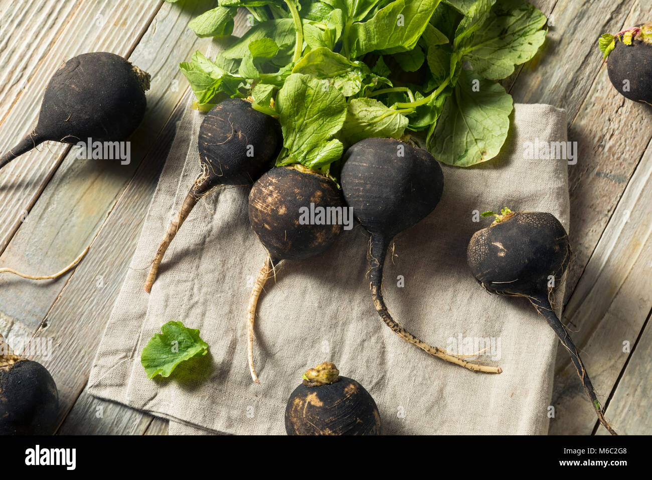 Organic Raw Black Radishes in a Bunch Stock Photo - Alamy