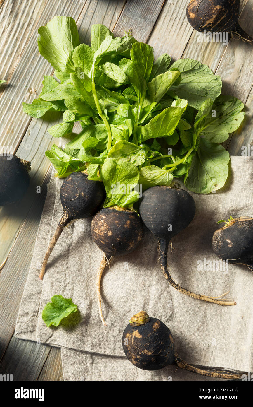 Black radish hi-res stock photography and images - Alamy