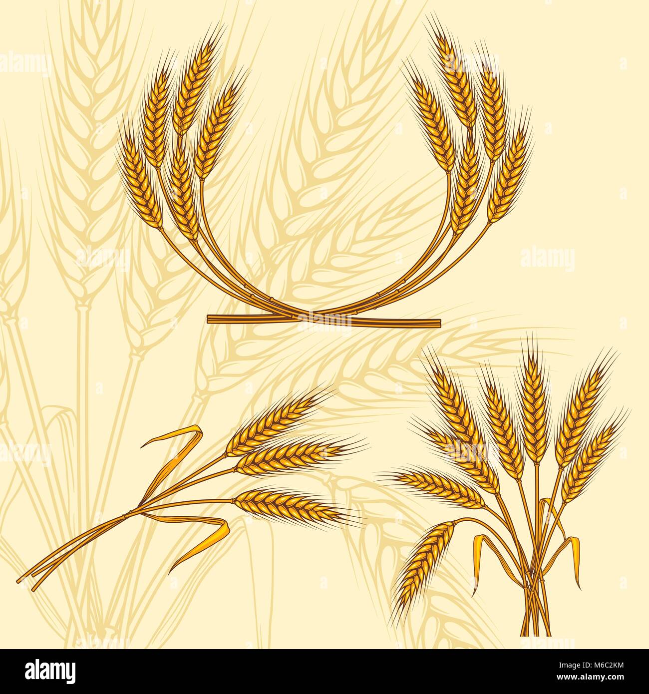 Golden straw background Stock Vector Images - Alamy