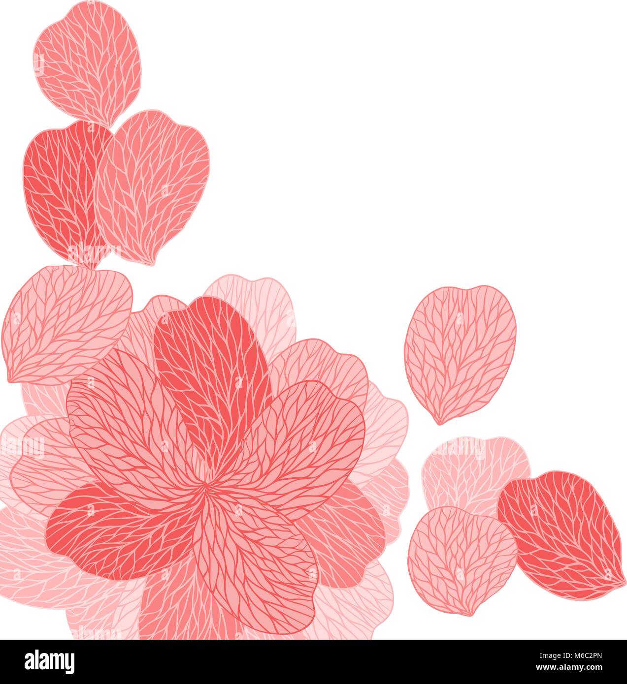Background of pink flower petals. Vector illustranion Stock Vector ...