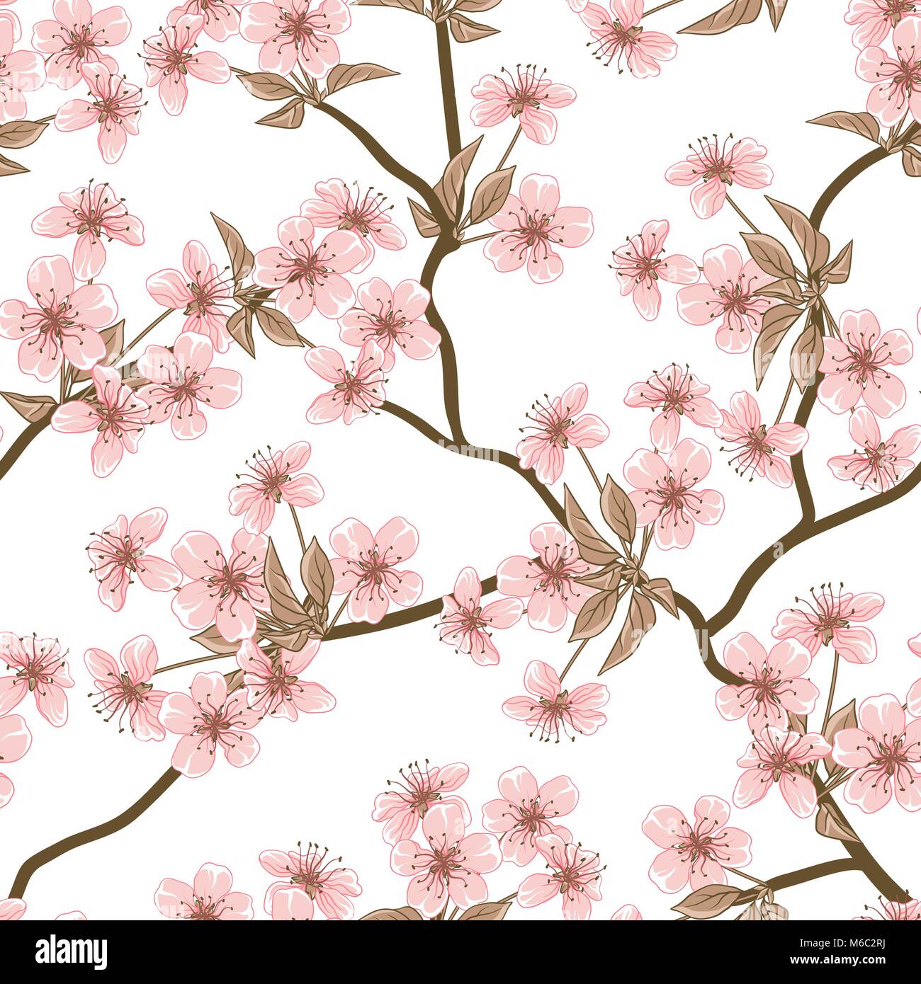 Cherry blossom vector background. (Seamless flowers pattern Stock ...