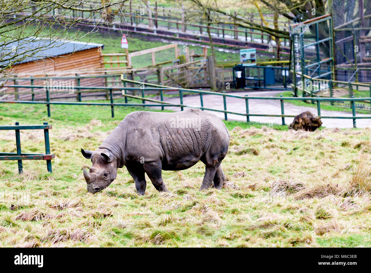 Port lympne animal park hi-res stock photography and images - Alamy