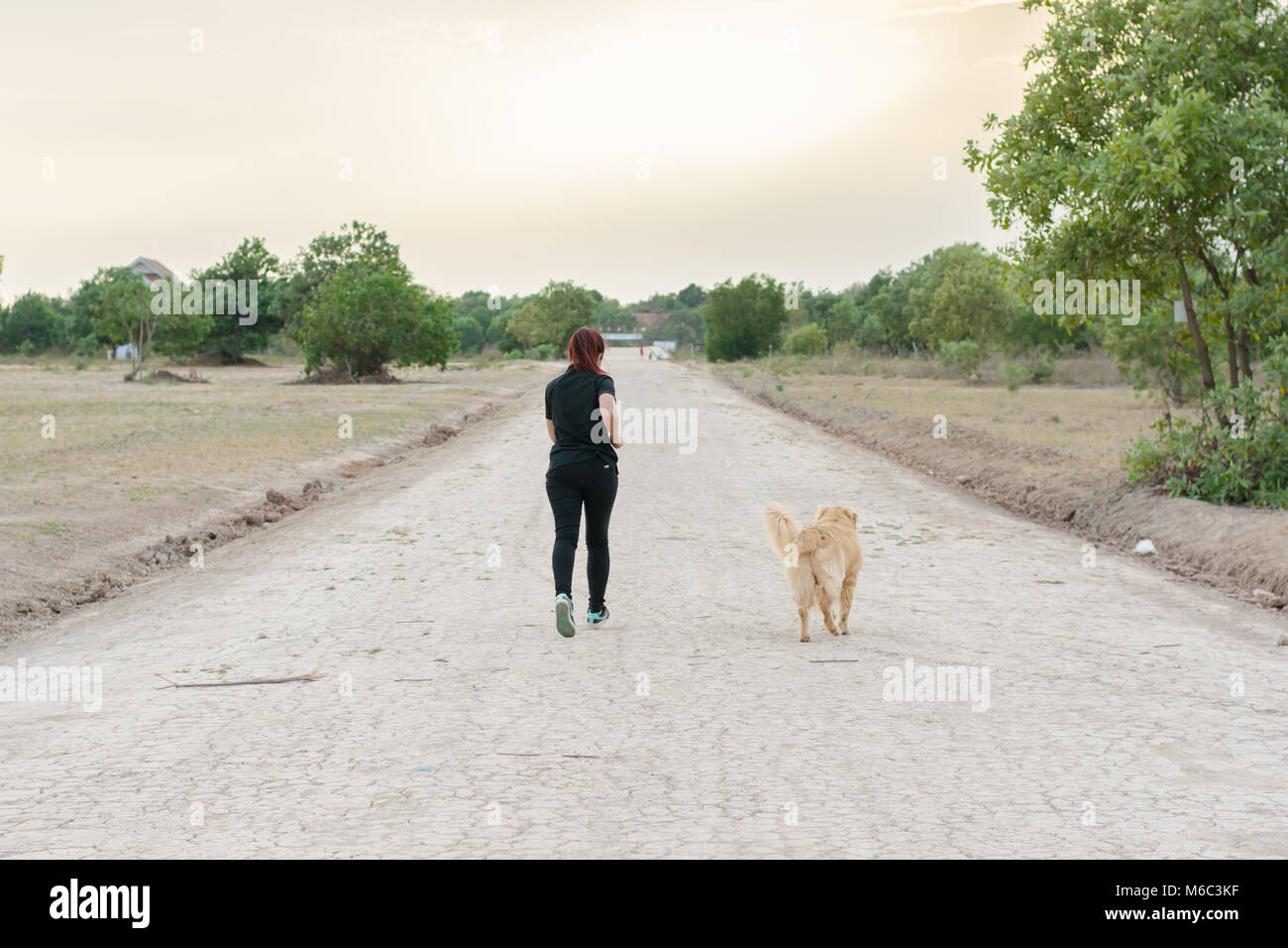 woman and golden dog on riverside Stock Photo - Alamy