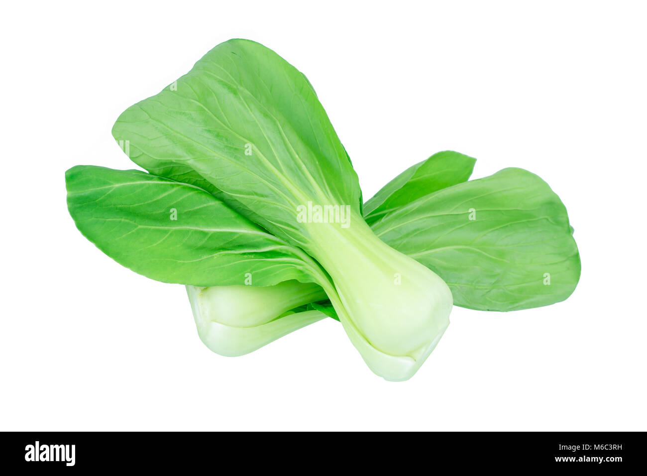 Bok choy (chinese cabbage) isolated on white Stock Photo - Alamy