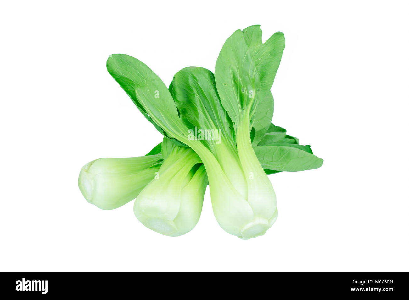 Bok choy (chinese cabbage) isolated on white Stock Photo - Alamy