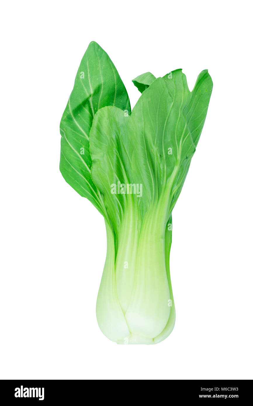 Bok choy (chinese cabbage) isolated on white Stock Photo - Alamy