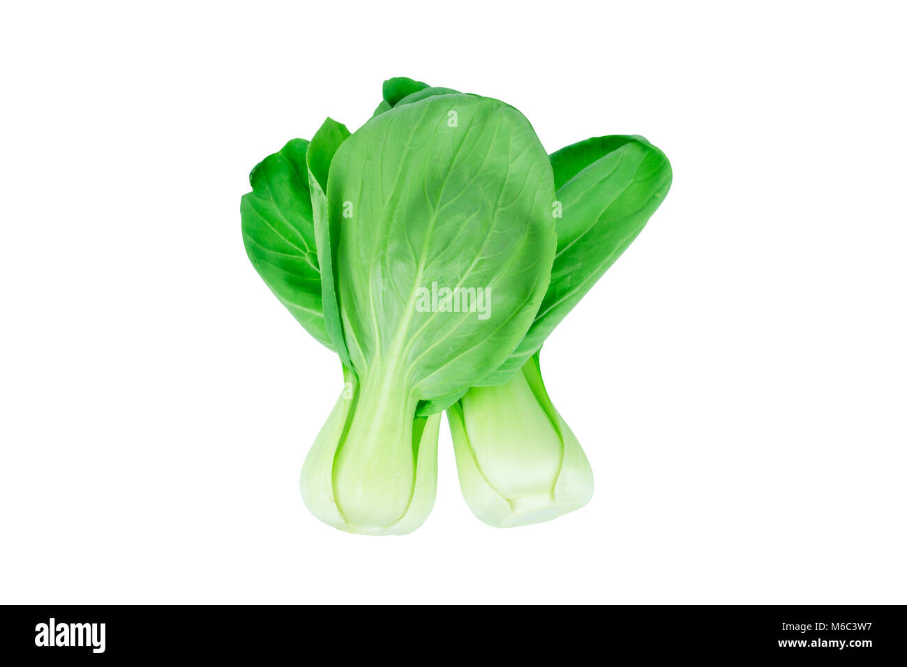 Bok choy (chinese cabbage) isolated on white Stock Photo - Alamy
