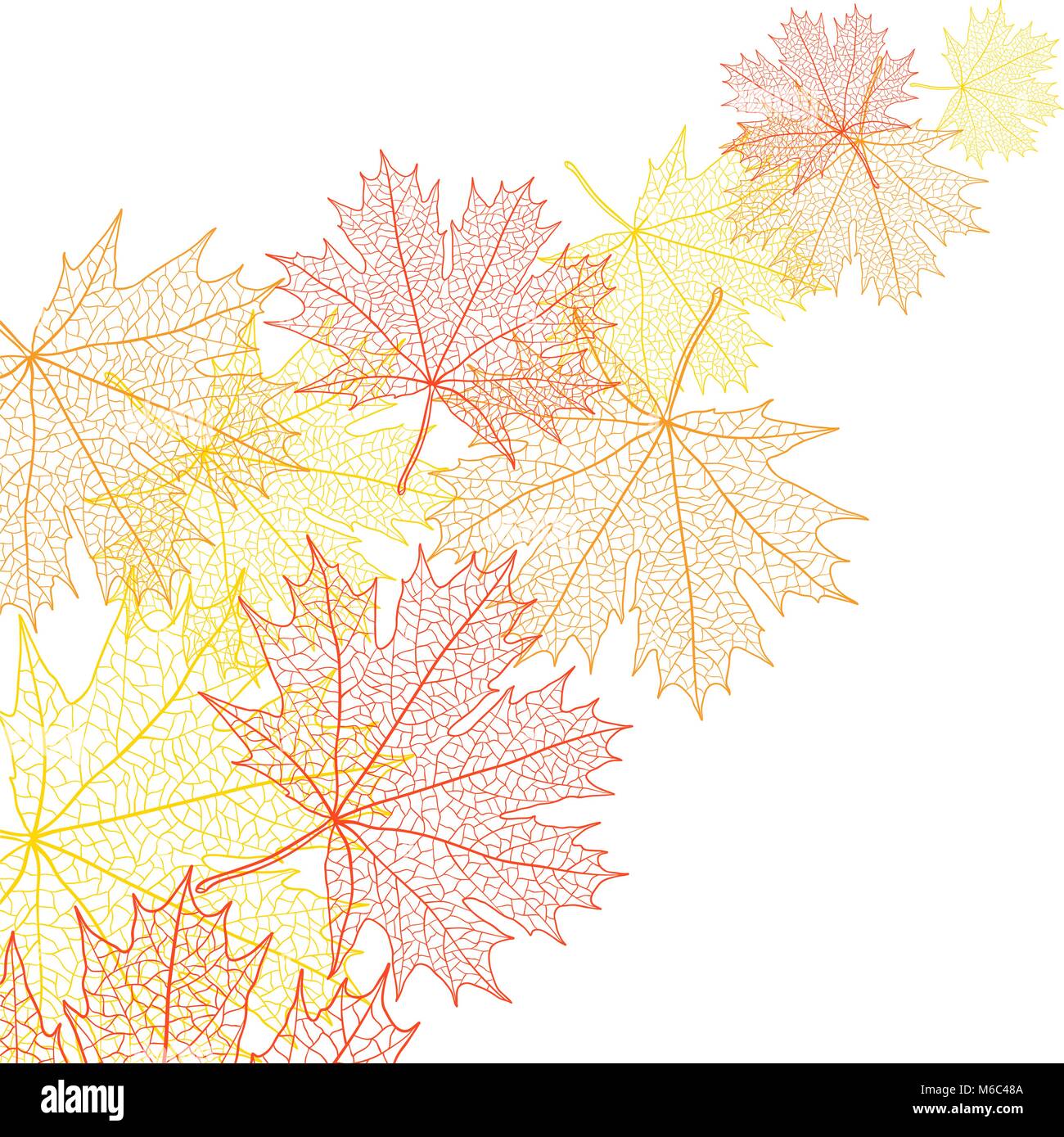 Autumn macro leaf of maple. Vector bacground Stock Vector Image & Art ...