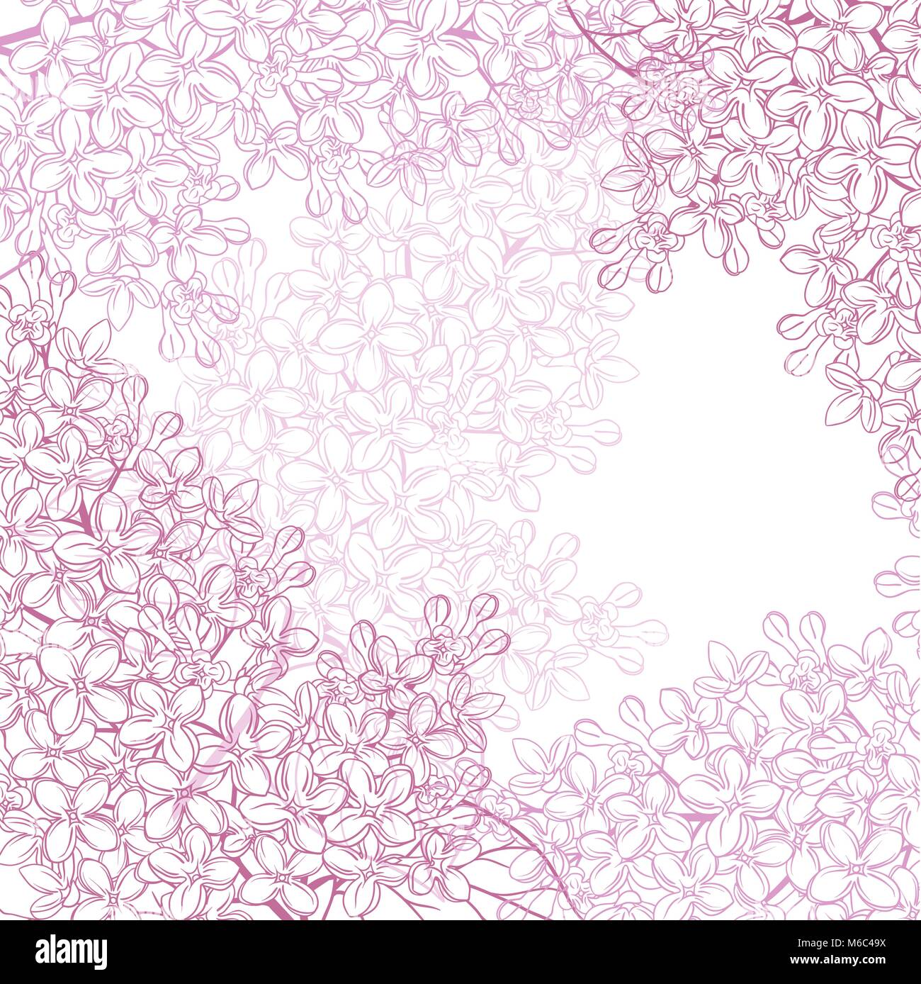 Vector background for design with flowers of lilac Stock Vector Image ...