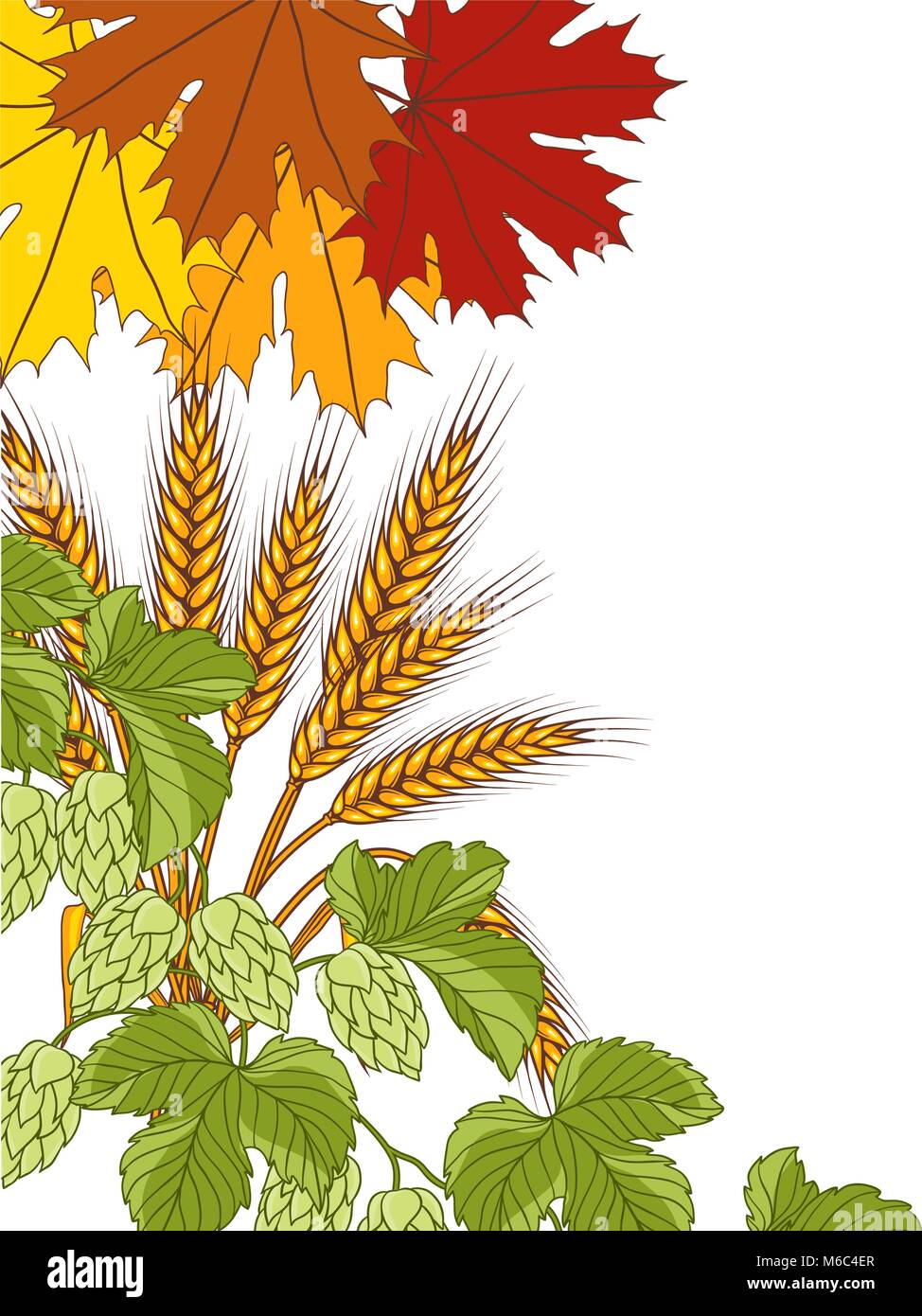 Illustration of leaves wheat hops. Vector bacground Stock Vector Image ...