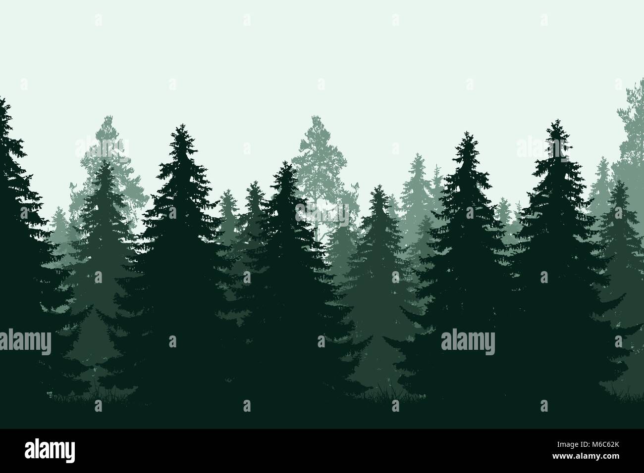 Green coniferous forest with grass - realistic vector illustration ...