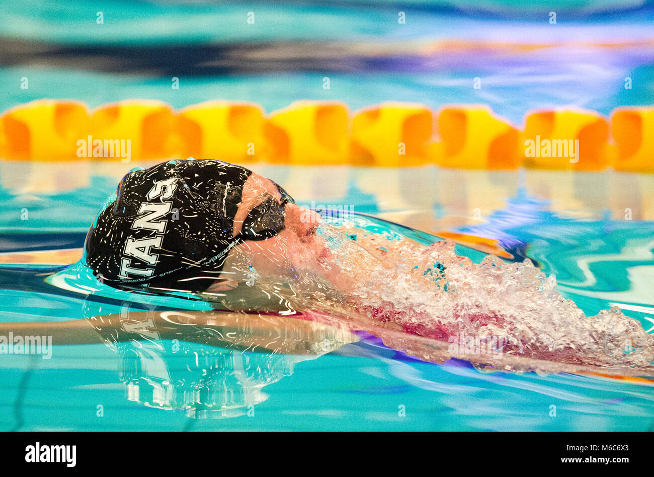 Cassie Wild swimming in a 50m backstroke skins event during day one of ...