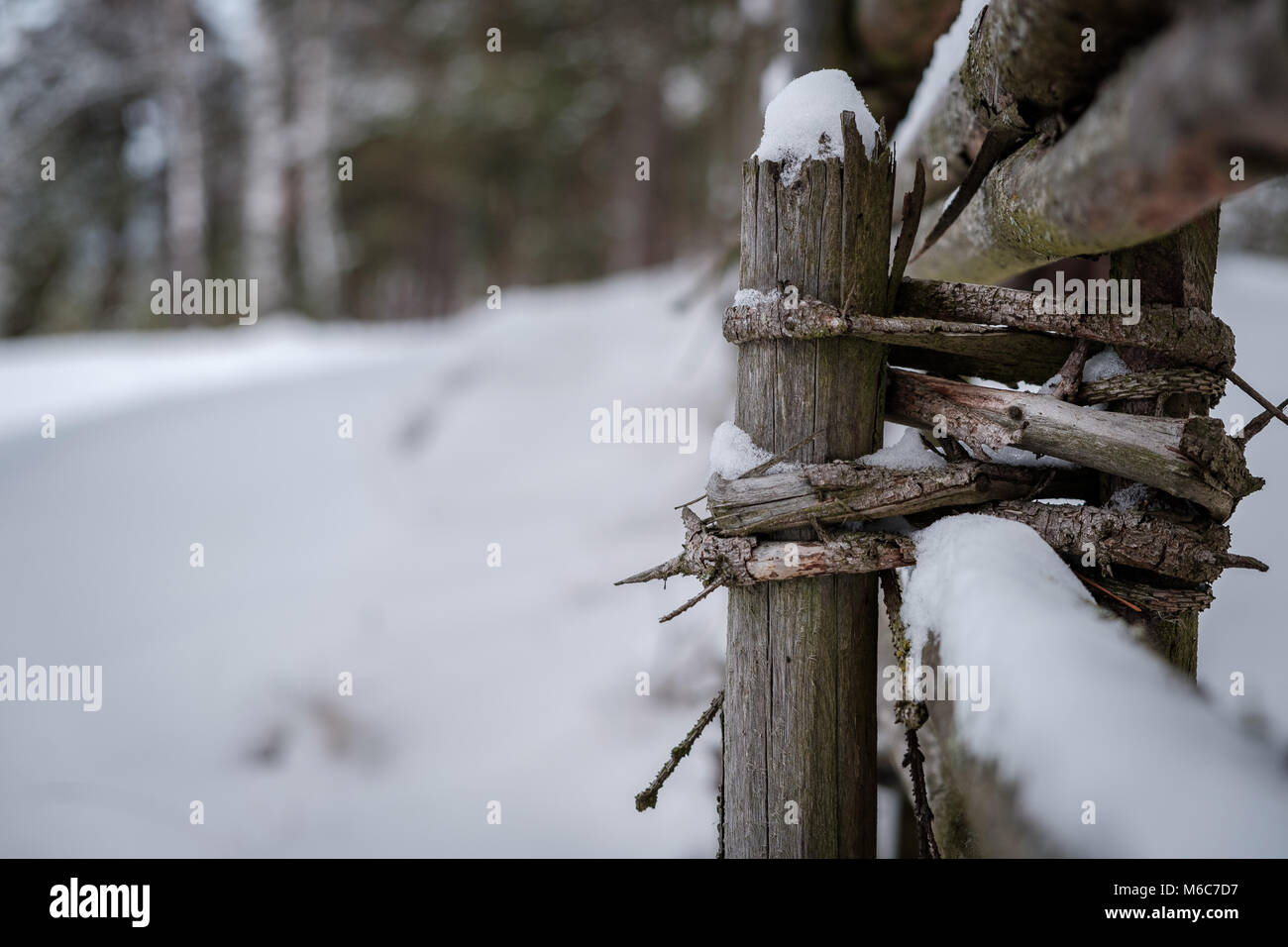 Sweden snow fence tree hi-res stock photography and images - Alamy