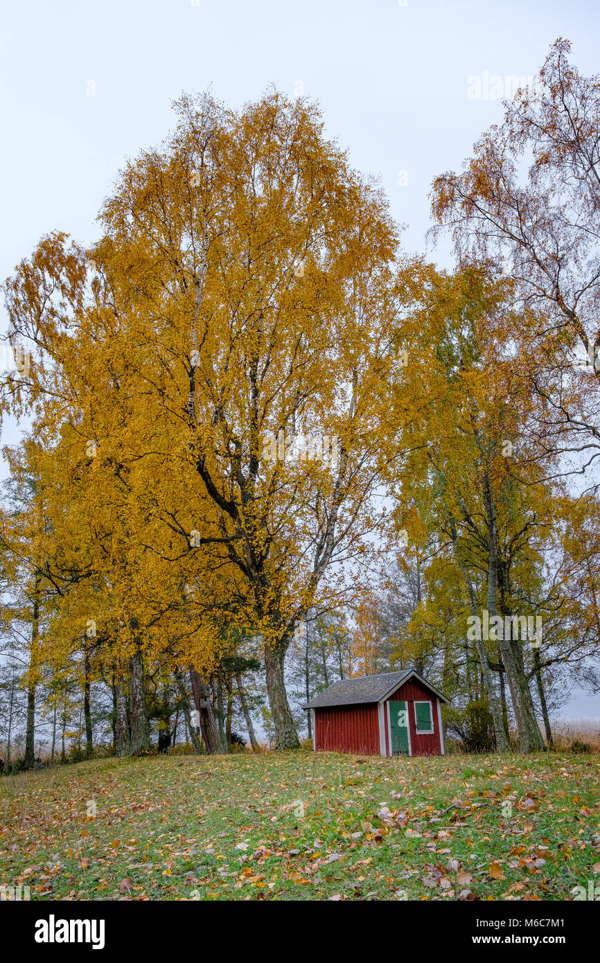Small red house in forest at fall Stock Photo - Alamy