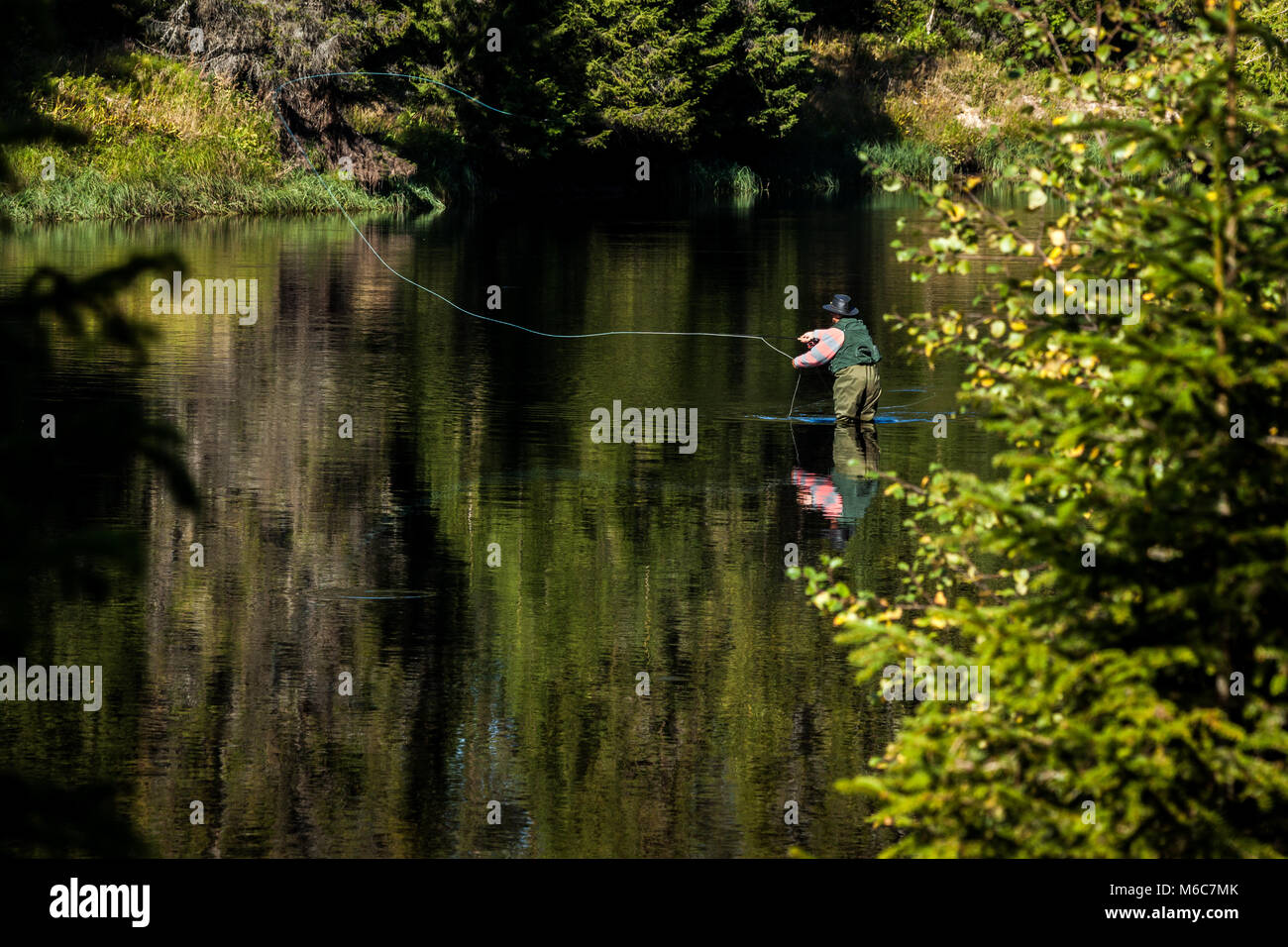 Man fly fishing standing in river, with green west Stock Photo - Alamy