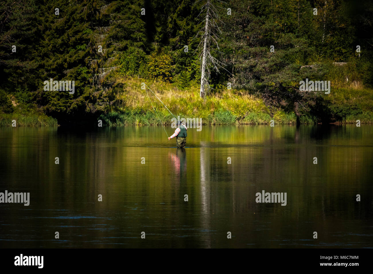 Man fly fishing standing in river, with green west Stock Photo - Alamy