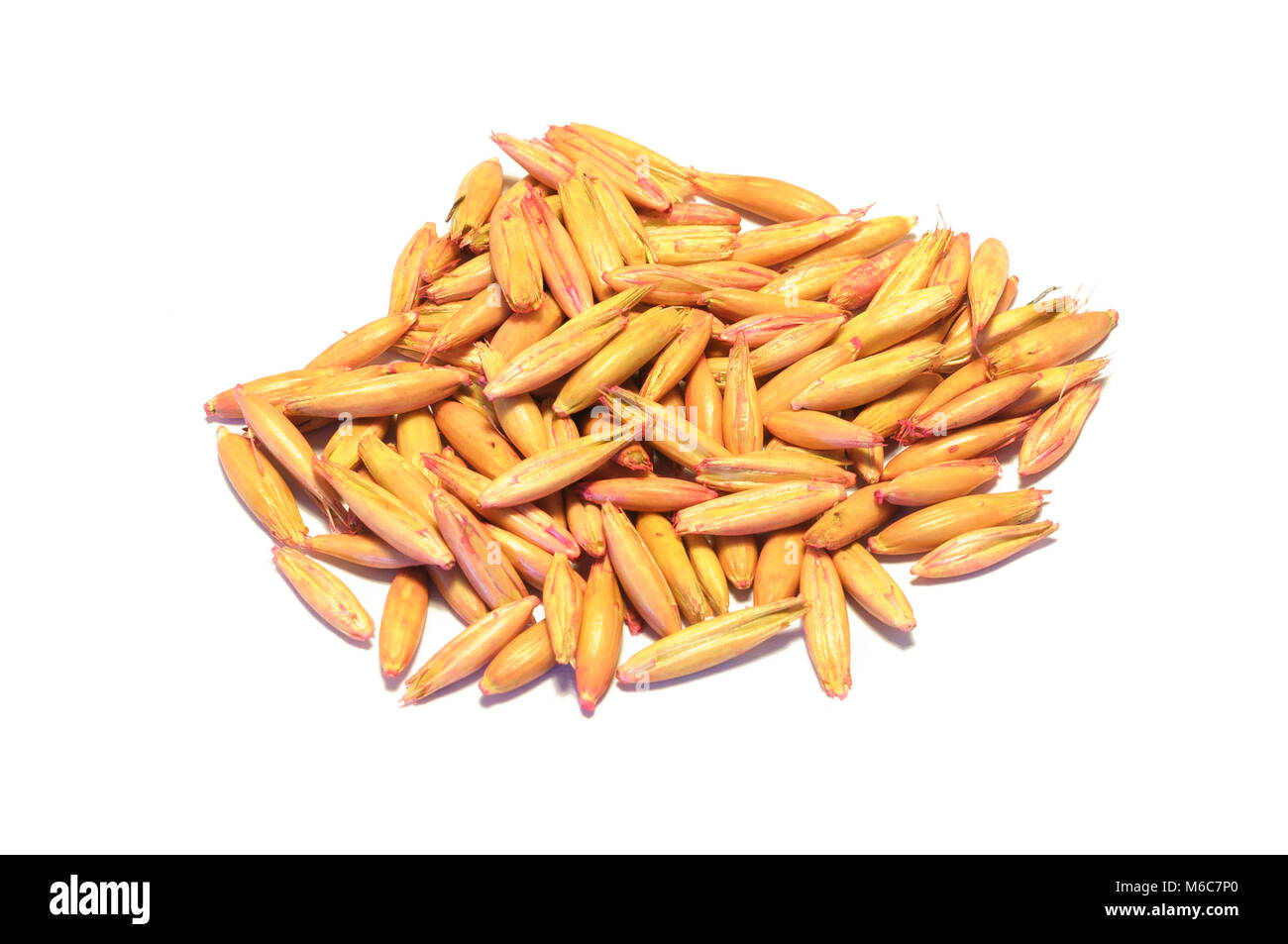 Agricultural animal feed hi-res stock photography and images - Alamy