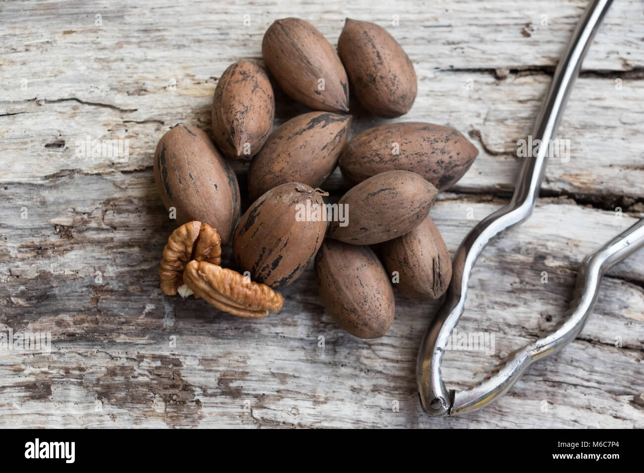 Pecan nut close up hi-res stock photography and images - Alamy