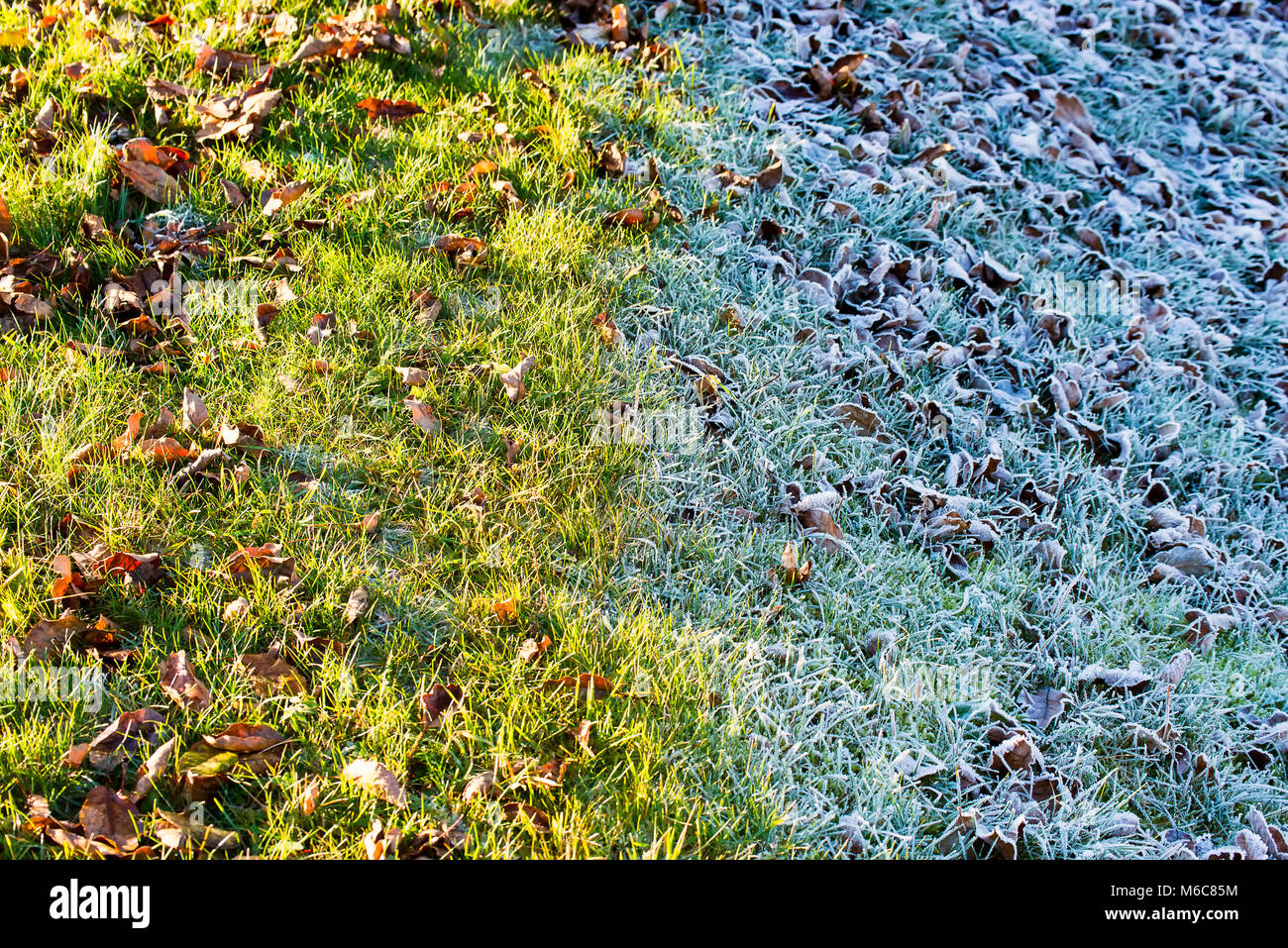 Bashang plateau hi-res stock photography and images - Alamy