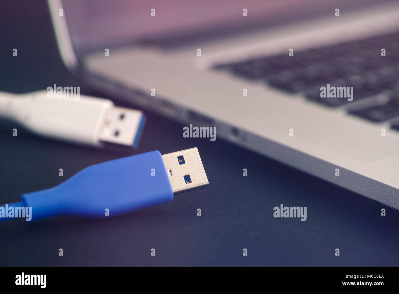 Two USB Cables and Laptop in Background. Close up Stock Photo - Alamy