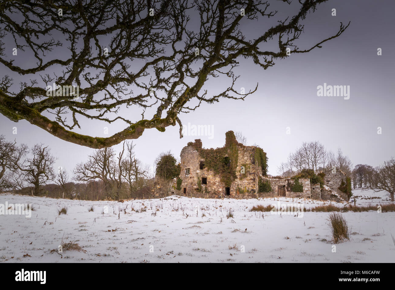 The ruins of haunted Gight Castle at Braes of Gight near Methlick ...