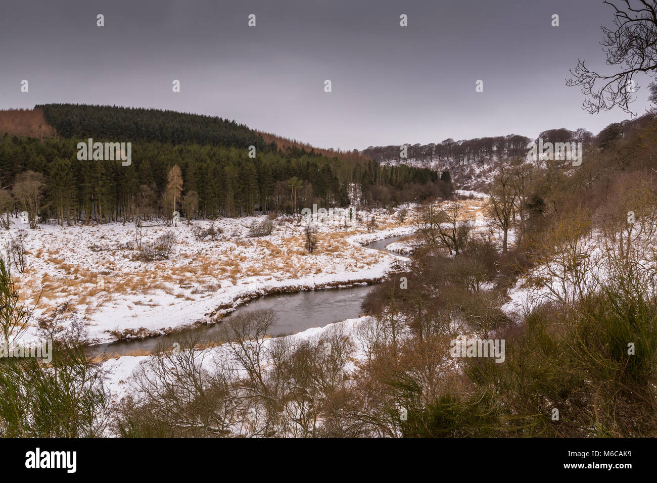 The River Ythan at Braes of Gight Wood near Methlick, Aberdeenshire ...