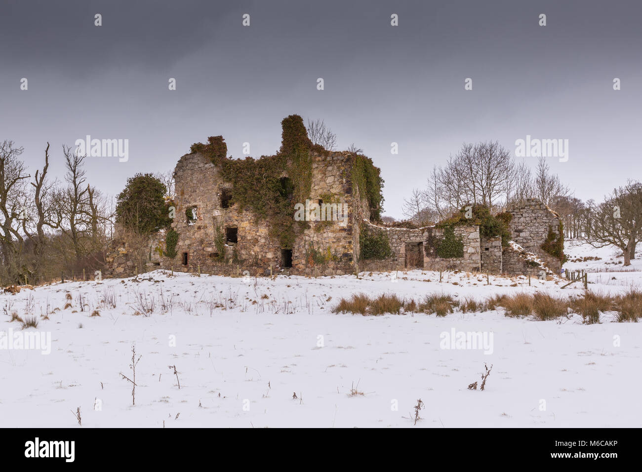 The ruins of haunted Gight Castle at Braes of Gight near Methlick ...
