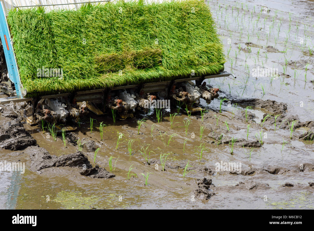 Japan rice planting machine hi-res stock photography and images - Alamy