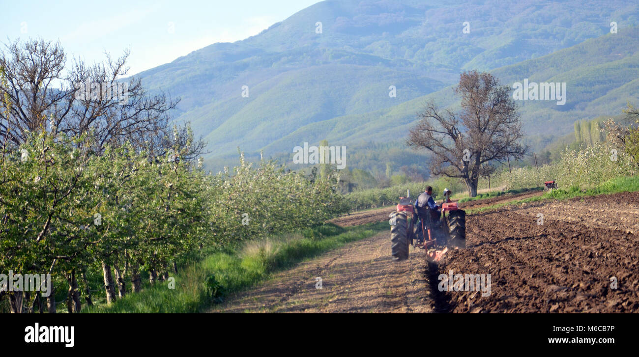 Picture of a plowing field in may . Agriculture concept Stock Photo - Alamy