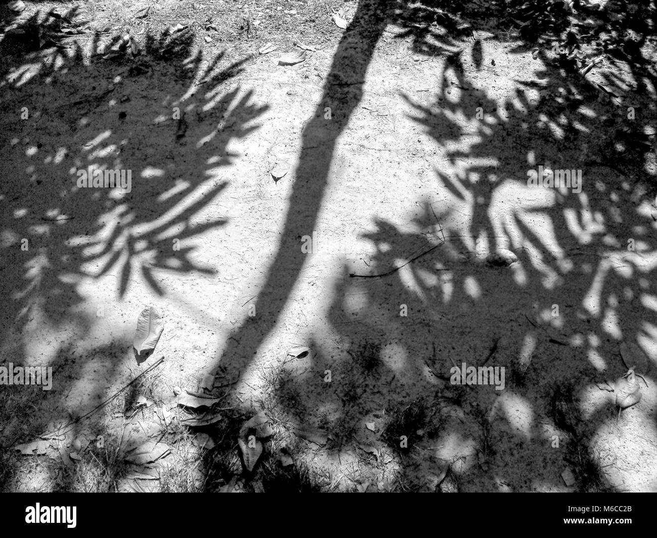 shadow and light monotone Stock Photo - Alamy