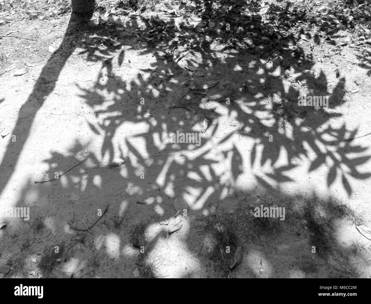 shadow and light monotone Stock Photo - Alamy