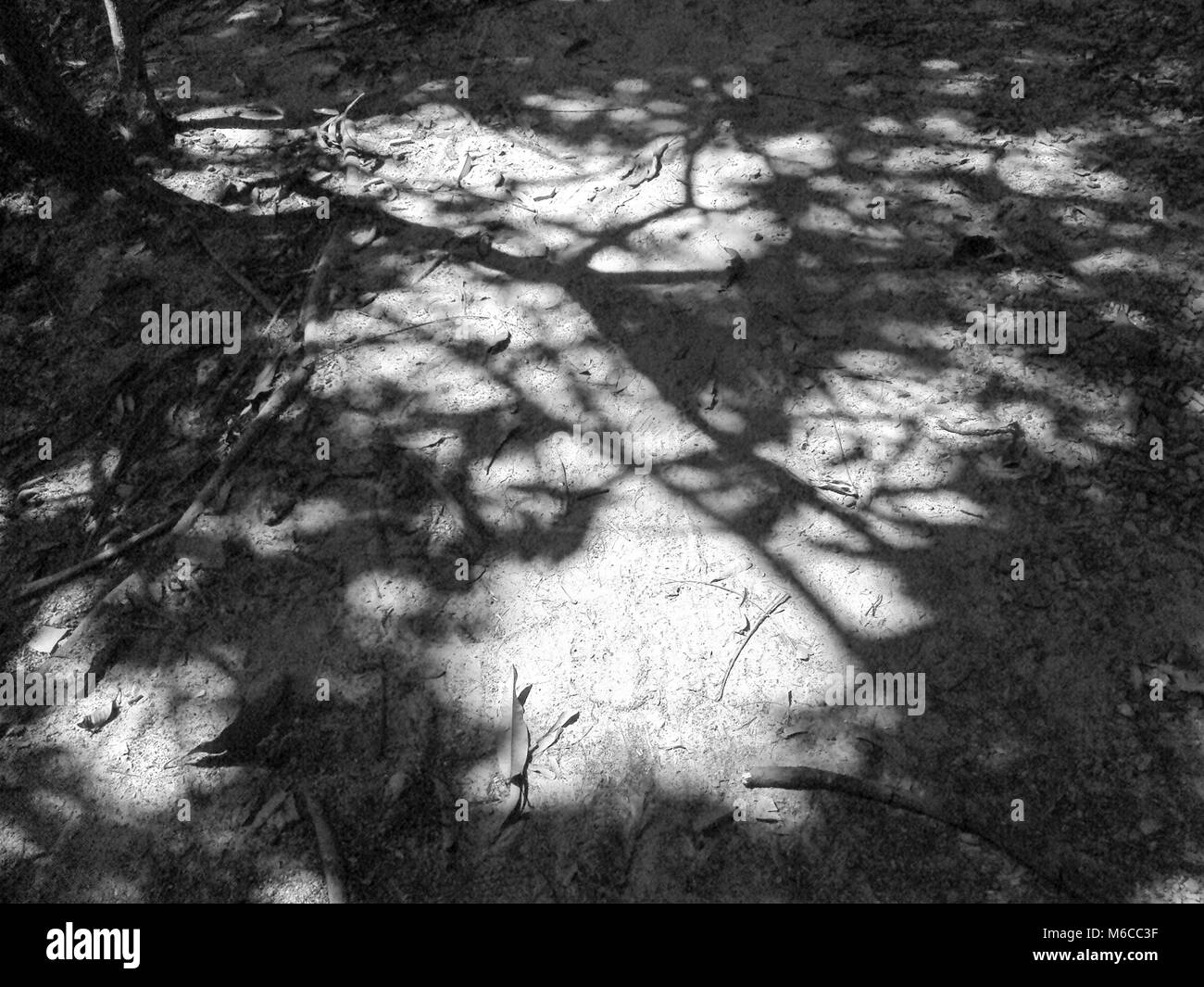 shadow and light monotone Stock Photo - Alamy