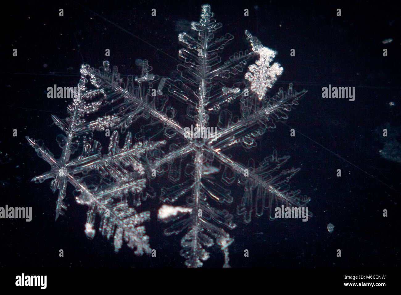 Real Snowflake Patterns