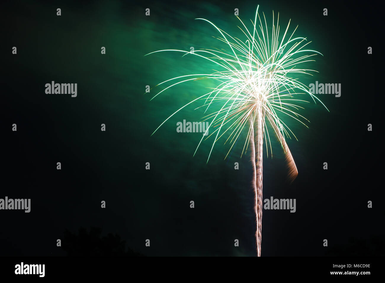 July 4th Fireworks Display in South Carolina Stock Photo - Alamy