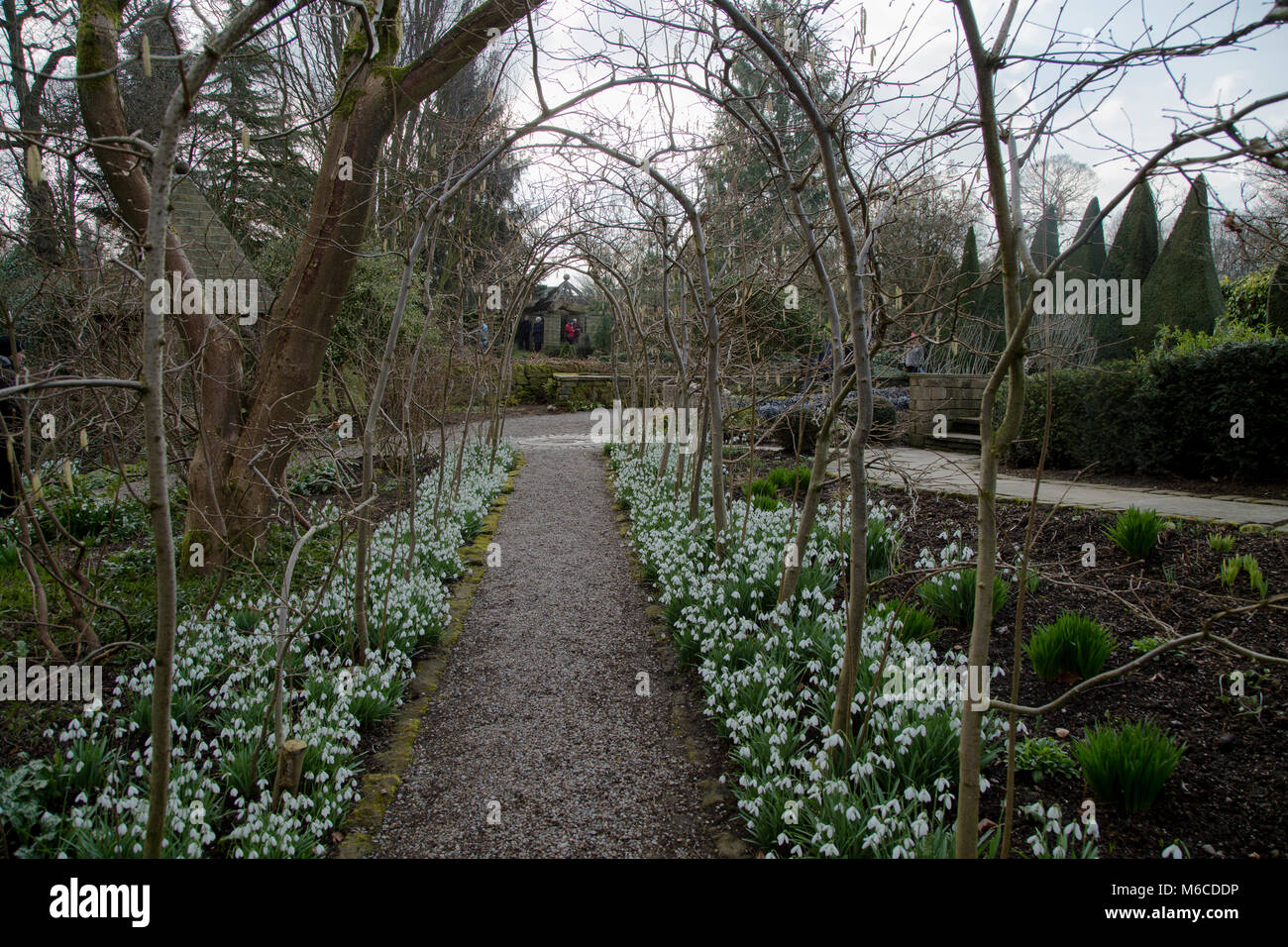 Compact Areas High Resolution Stock Photography and Images - Alamy