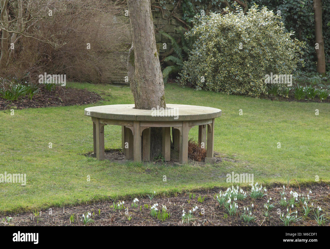 Seating Under A Tree High Resolution Stock Photography and Images - Alamy