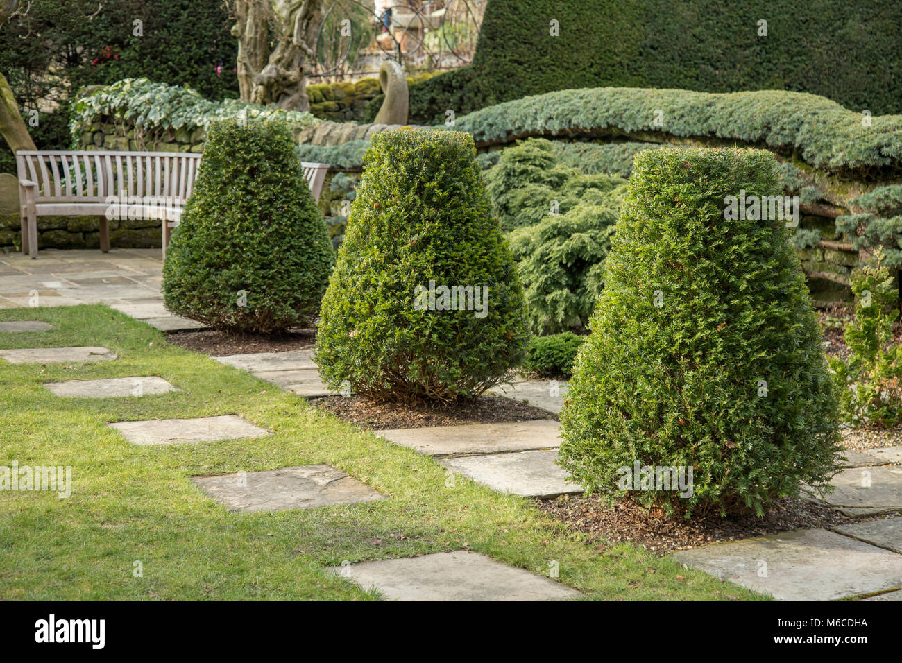 Weed free garden hi-res stock photography and images - Alamy