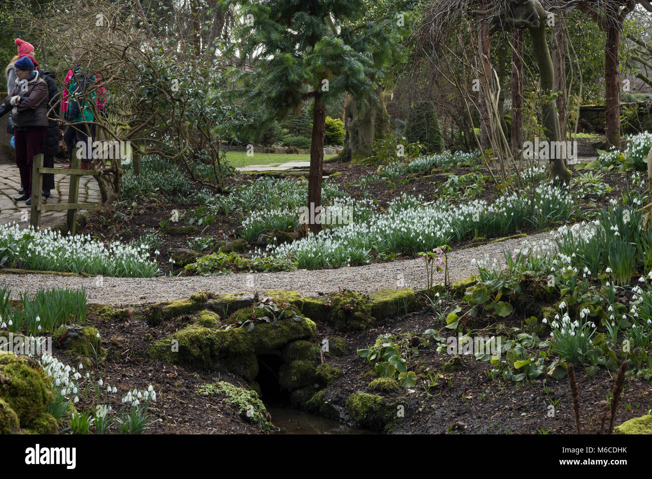 Compact Areas High Resolution Stock Photography and Images - Alamy