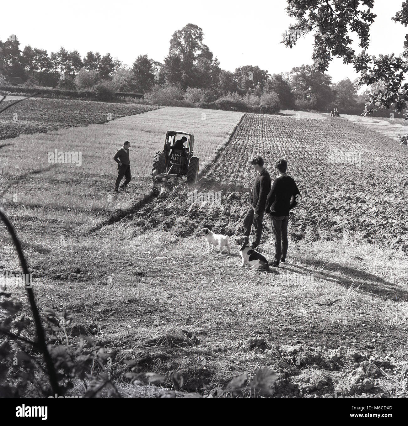1950s farm tractor hi-res stock photography and images - Alamy