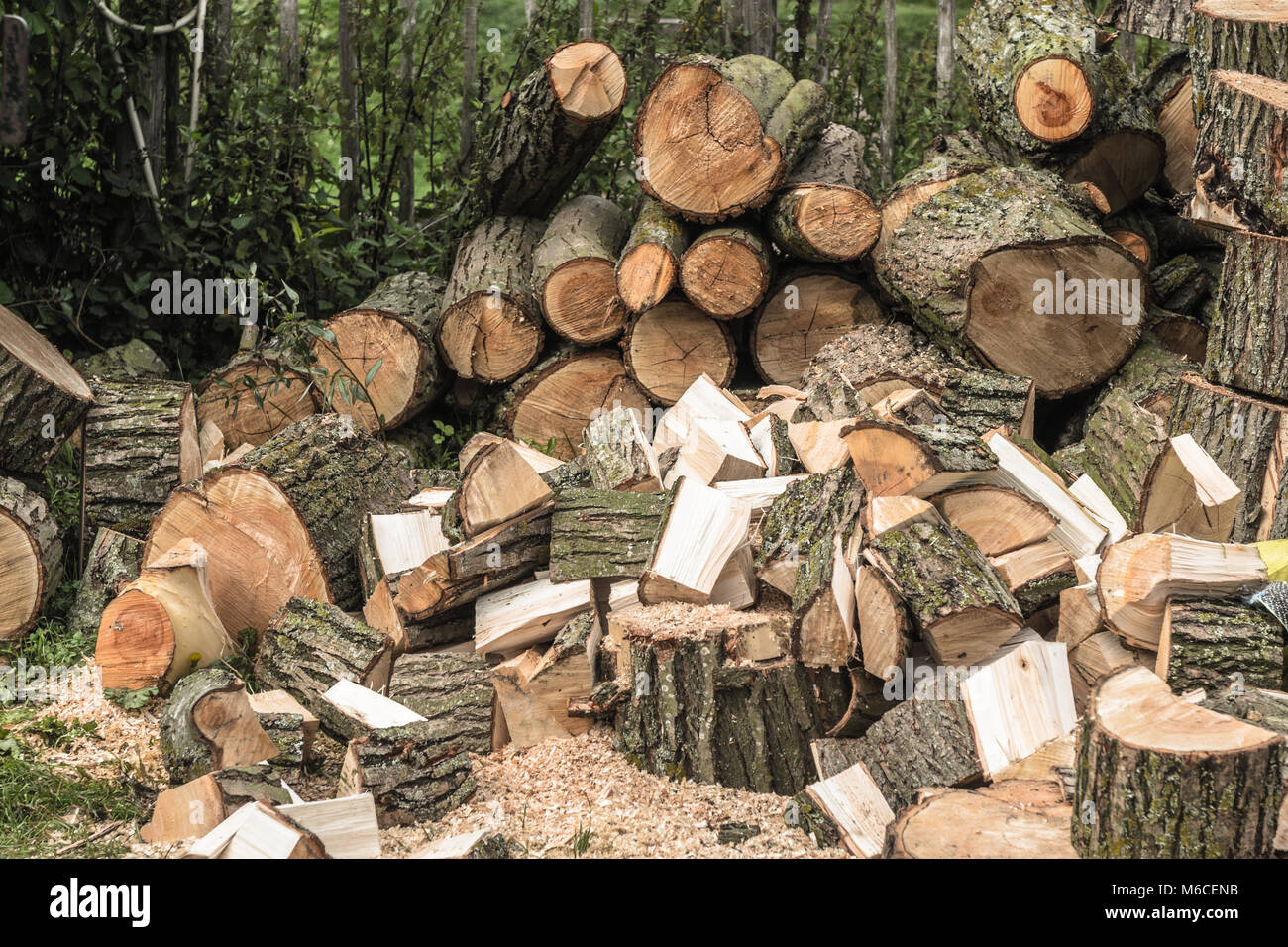 Octogenarian black Caribbean woman who emigrated to the UK at the age ...